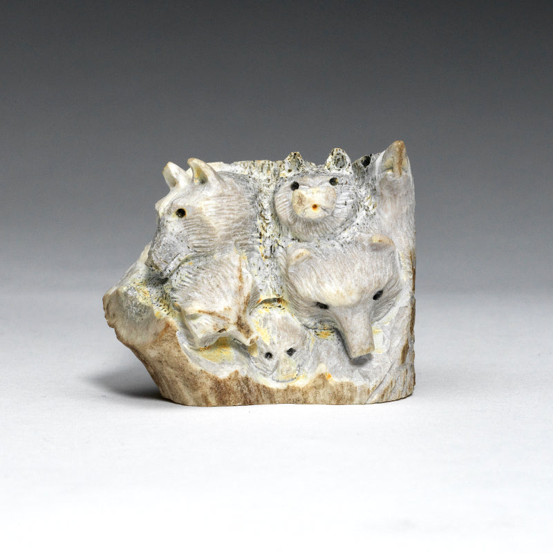 Elton Kaamasee – Zuni Artist Resource Team