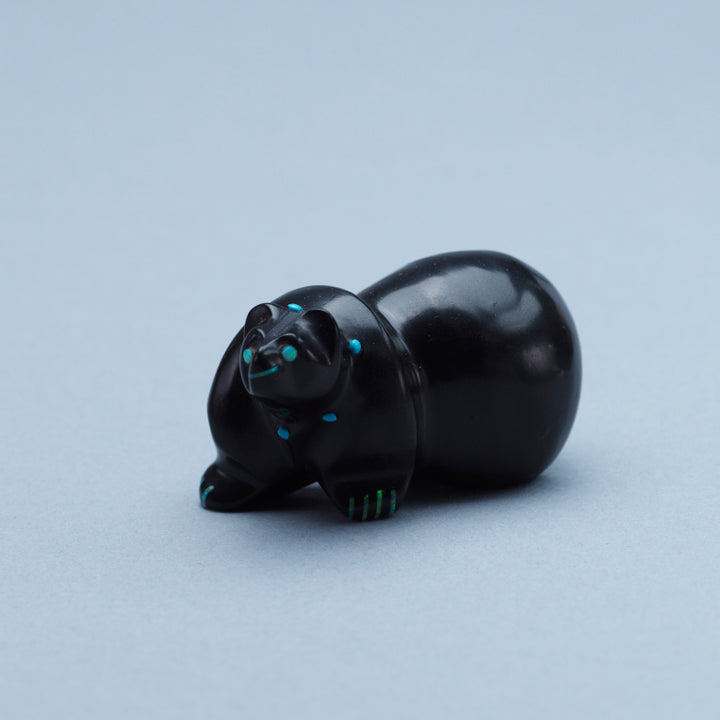 Zuni Artist Resource Team