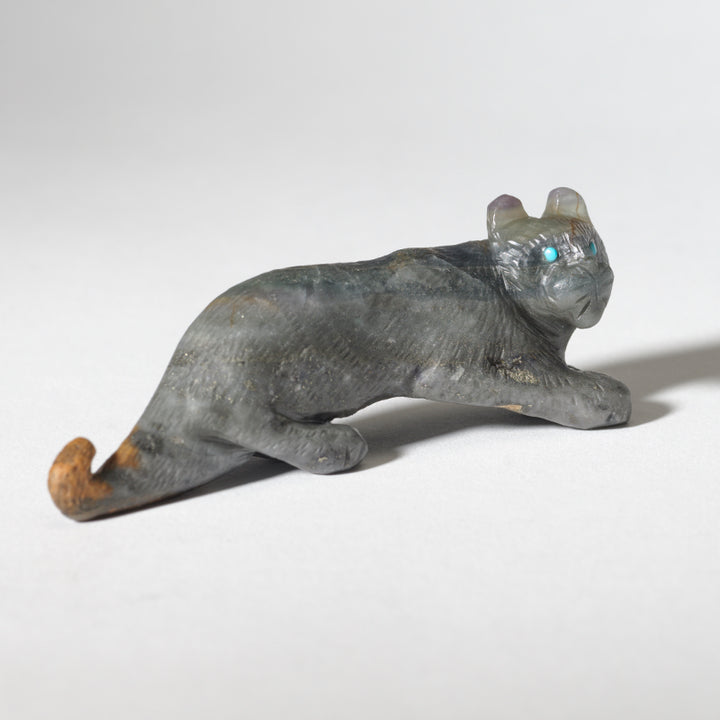 Zuni Artist Resource Team